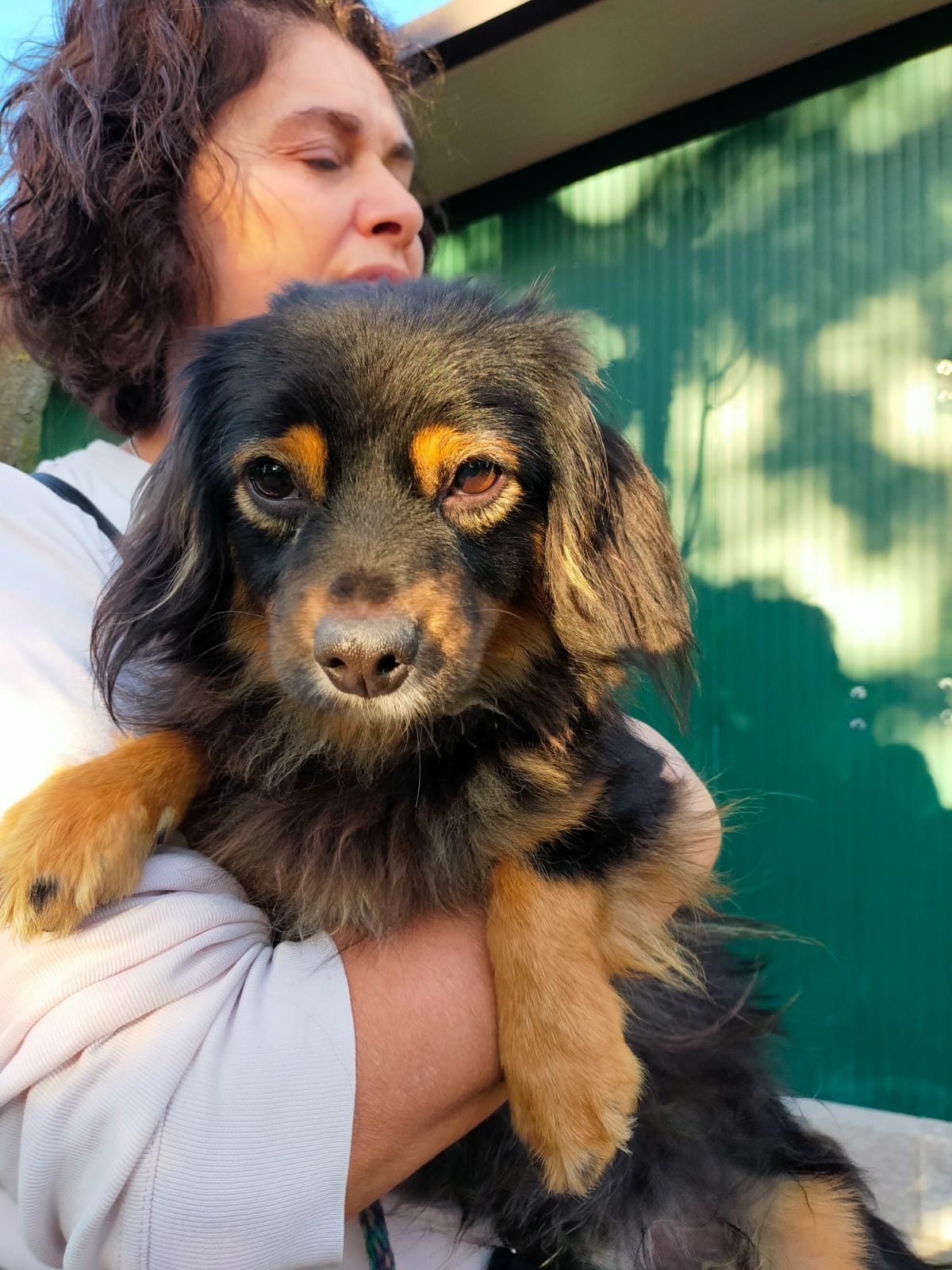 Indro - Hundehilfe Mariechen