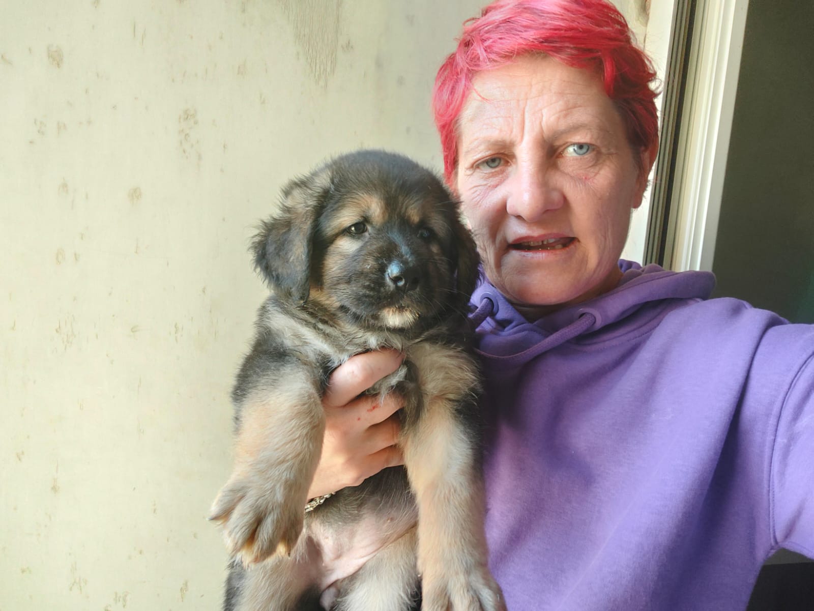 Paula - Hundehilfe Mariechen